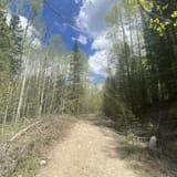 Mill Castle Trail to Lowline Trail Loop, Colorado - 37 Reviews, Map ...