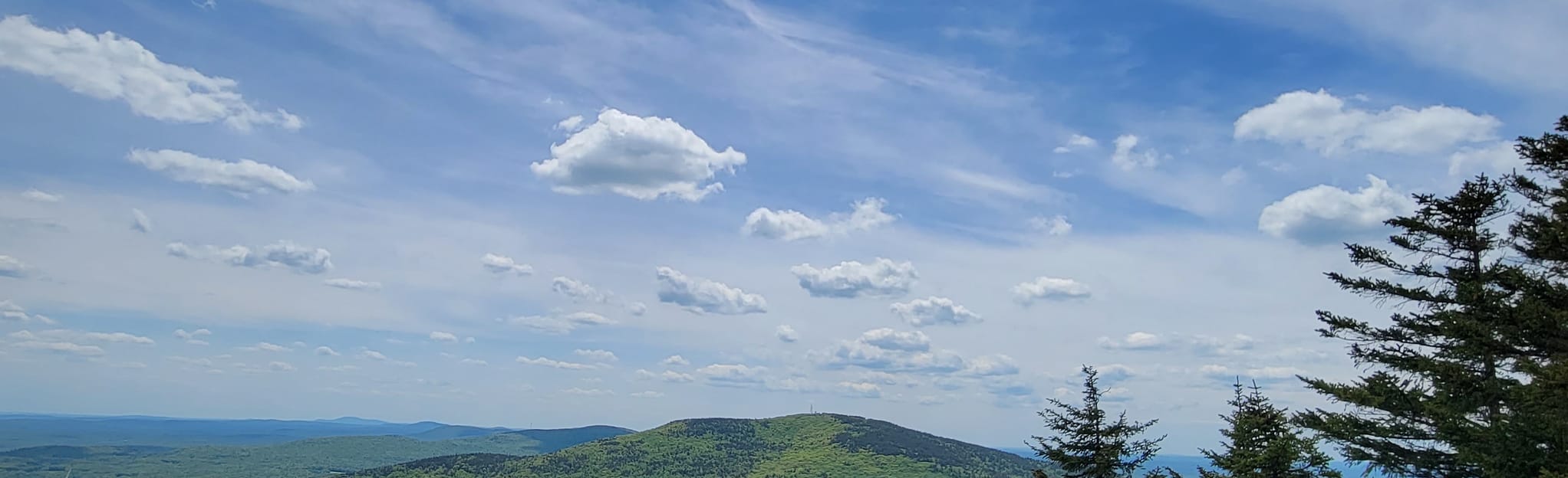 North Pack Monadnock and Cliff Trail via Wapack Trail: 106 Reviews, Map ...