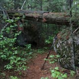 Angleworm Lake Trail, Minnesota - 108 Reviews, Map | AllTrails