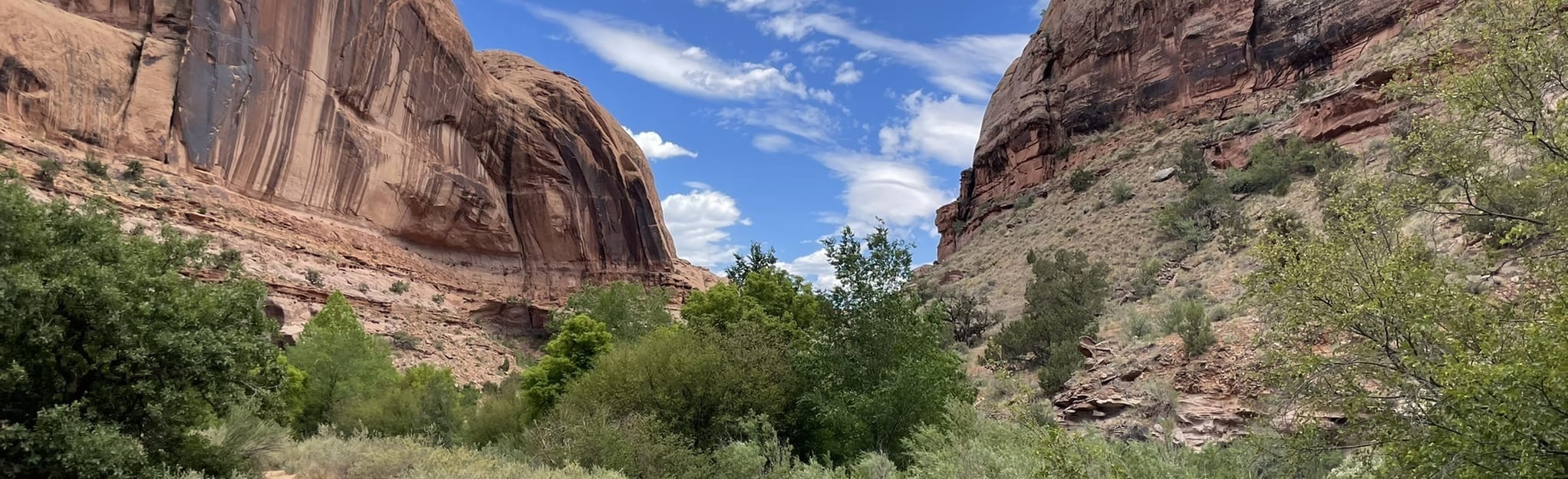 Grandstaff Trail, Utah - 3,211 Reviews, Map | AllTrails