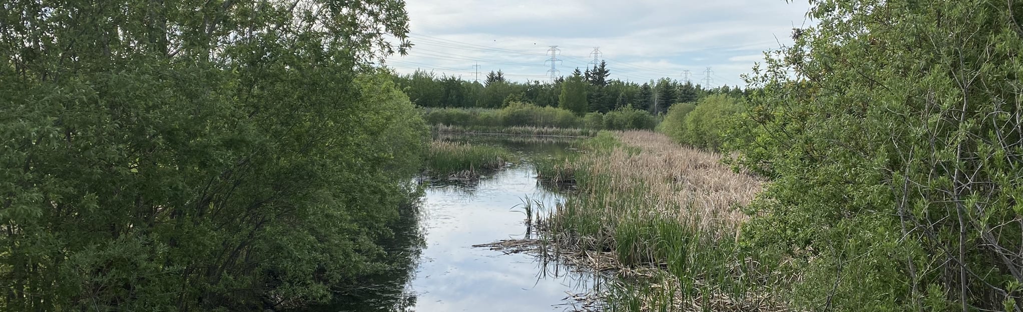 Mill Creek Ravine Trail, Alberta, Canada - 53 Reviews, Map | AllTrails