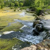 Bruce Trail: Niagara Section, Ontario, Canada - 382 Reviews, Map ...