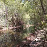 Piru Creek Trail, California - 189 Reviews, Map | AllTrails