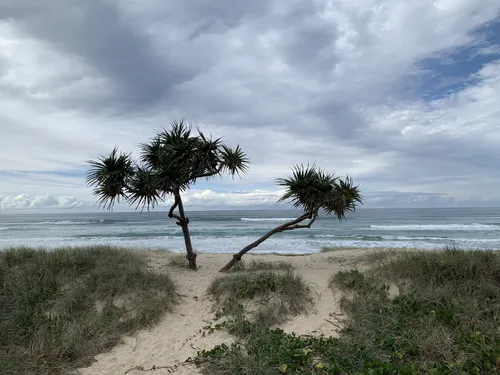 10 Best Trail Running Trails in Gold Coast | AllTrails