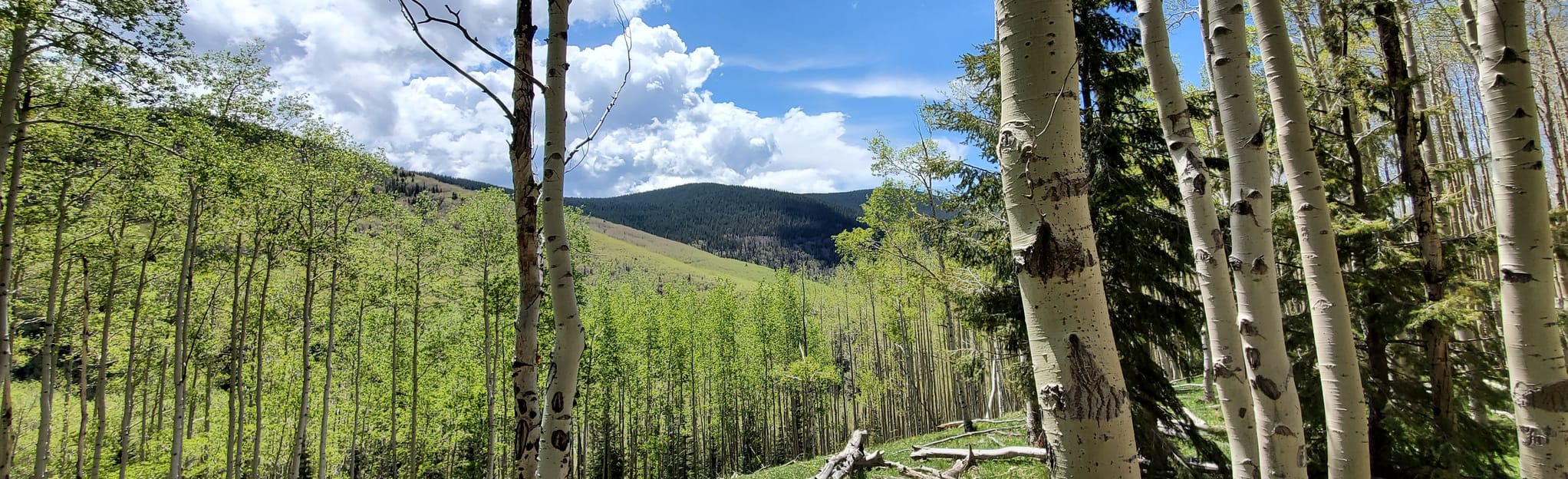Tesuque Peak via Tesuque Creek North Fork Trail, 536 Photos - Nouveau ...