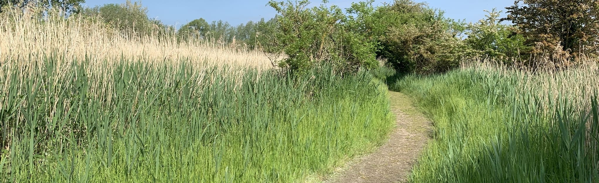 Fowlmere Nature Reserve Circular: 21 Reviews, Map - Hertfordshire ...