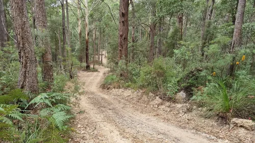 Best Hikes and Trails in Mapleton National Park | AllTrails