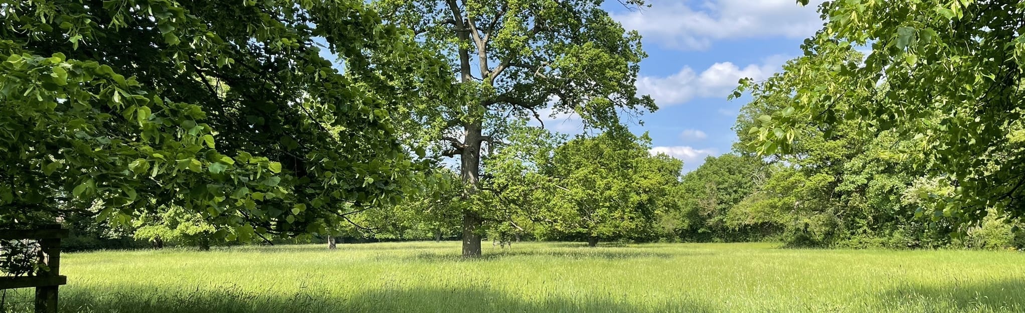 Iver and the Slough Arm - Buckinghamshire, England | AllTrails