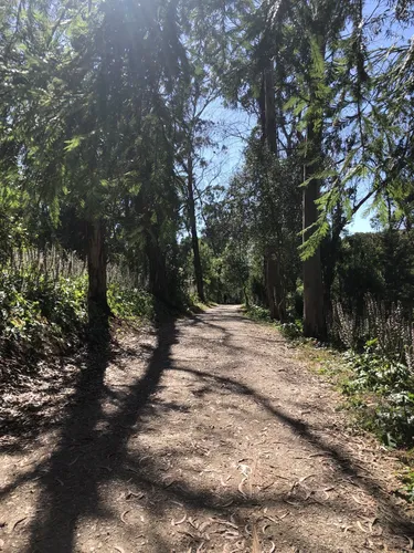 10 Best Easy Trails in Monsanto Forest Park | AllTrails