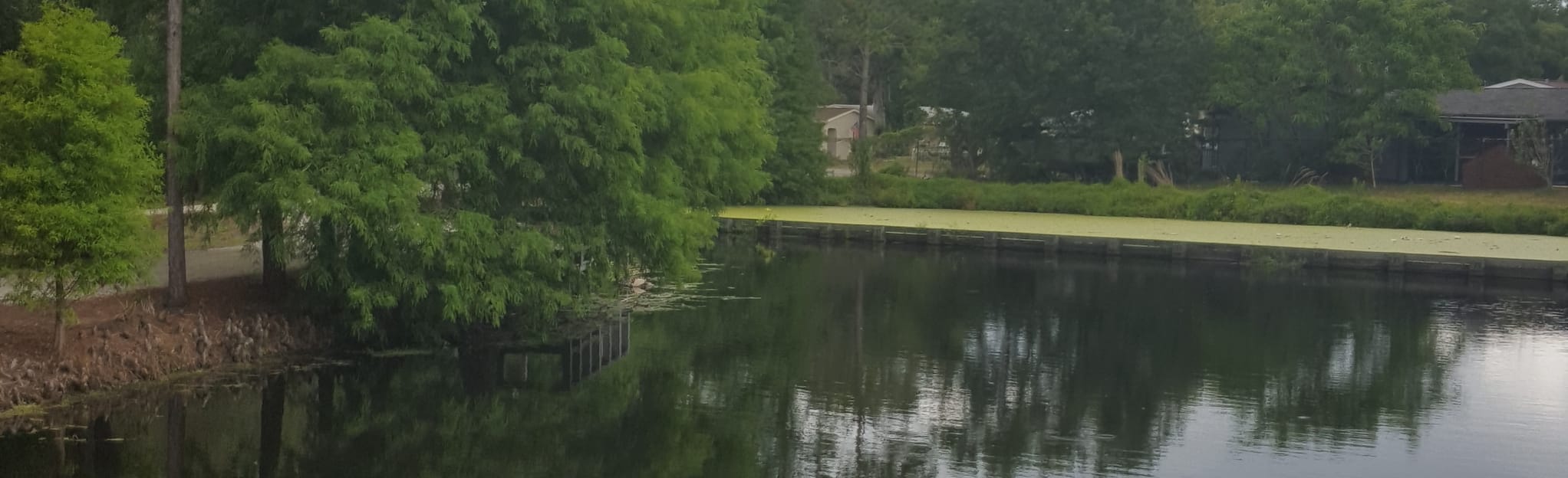 Moccasin Lake Trail : 109 Reviews, Map - Florida | AllTrails