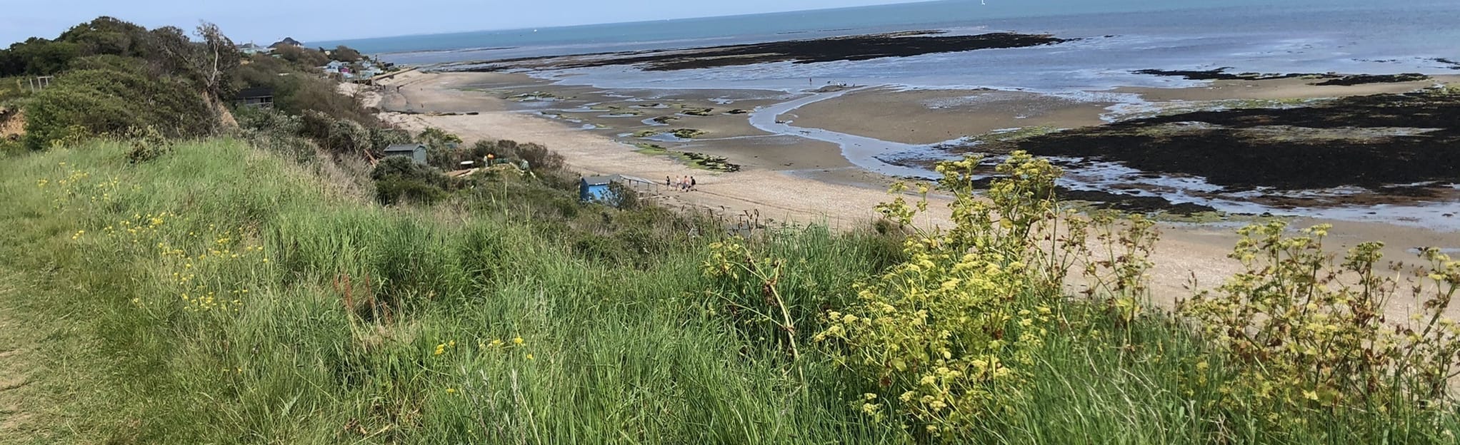 Bembridge and Steyne Wood Circular, Isle of Wight, England - 25 Reviews ...