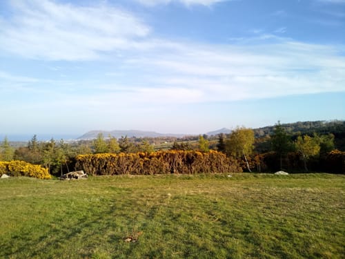 2023 Best Walking Trails in Carrickgollogan Wood | AllTrails