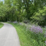 Red Jacket Trail, Minnesota - 160 Reviews, Map | AllTrails