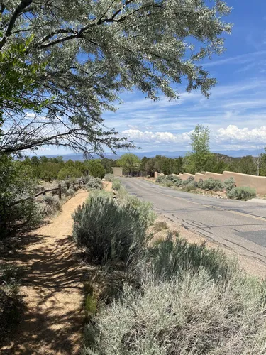 Best Hikes and Trails in Dale Ball Trails | AllTrails