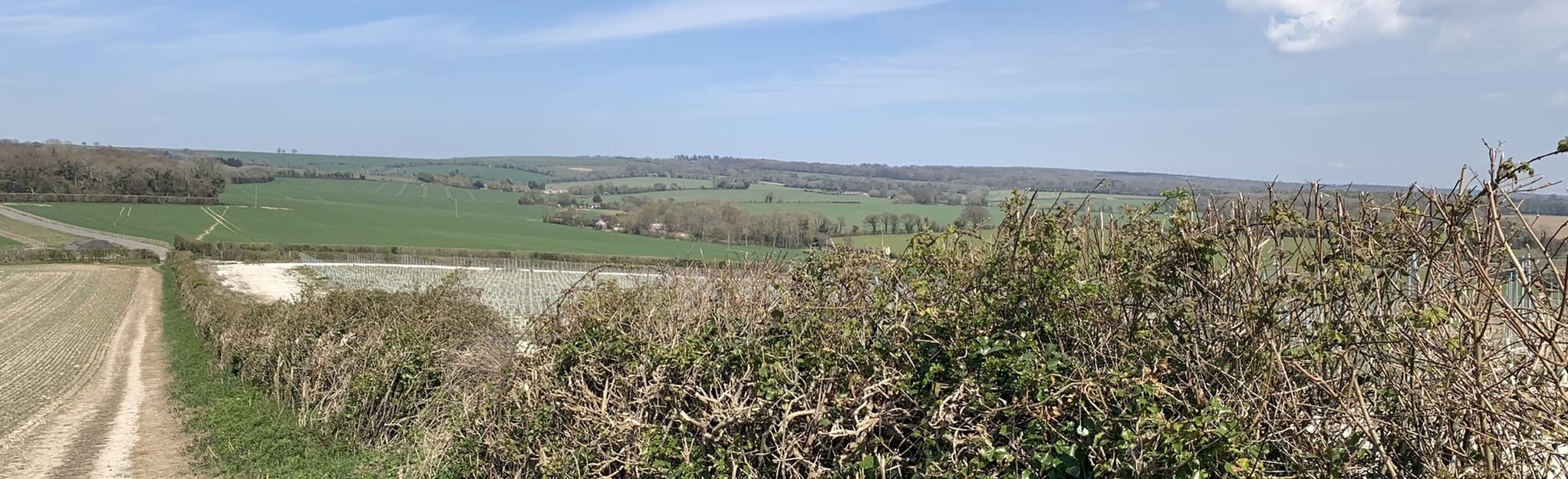 Hambledon Vineyard and Chidden Walk, Hampshire, England - 202 Reviews ...