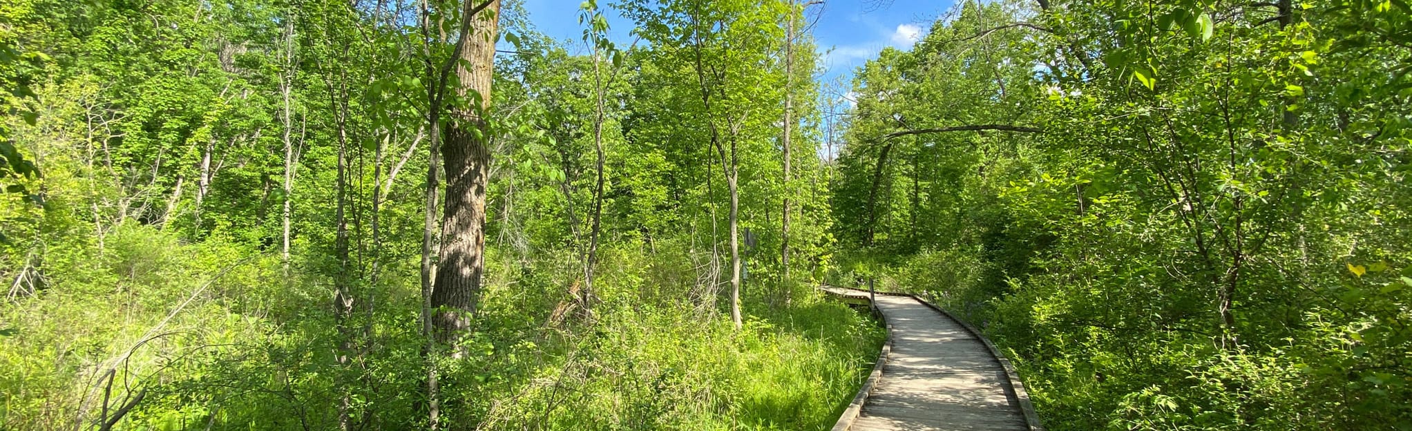 Flushing Township Nature Park Outer Loop: 95 Reviews, Map - Michigan ...