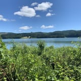 Hagg Lake Trail Section H, Oregon - 183 Reviews, Map | AllTrails