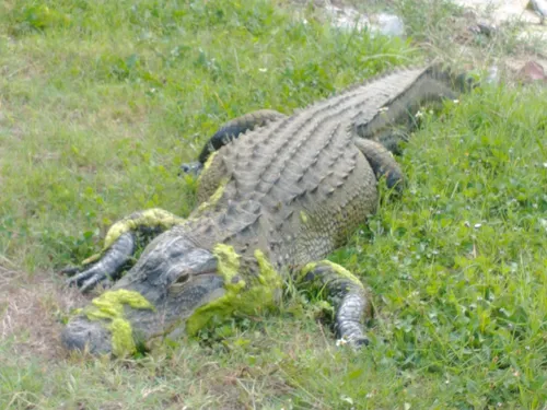 Best Hikes and Trails in Maxine Barritt Park | AllTrails