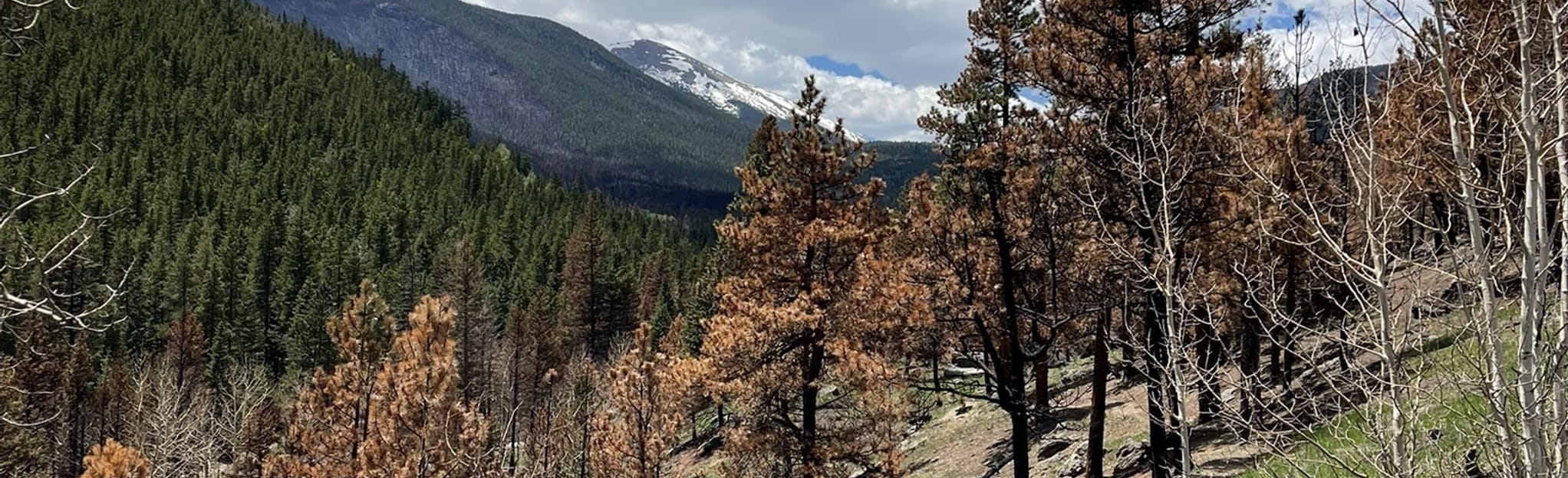 North Fork Big Thompson River Trail Via Dunraven Trailhead, Colorado ...