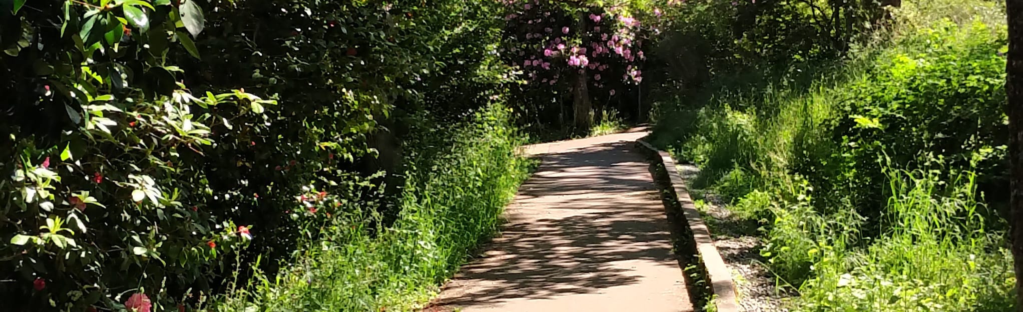 Playfair Park: 74 Reviews, Map - British Columbia, Canada | AllTrails