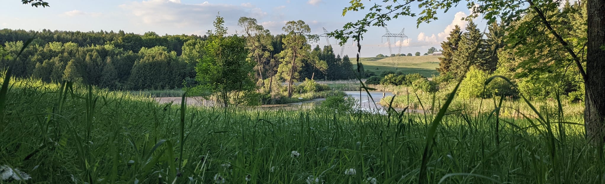 Cold Creek Conservation Area Loop: 165 Reviews, Map - Ontario, Canada ...
