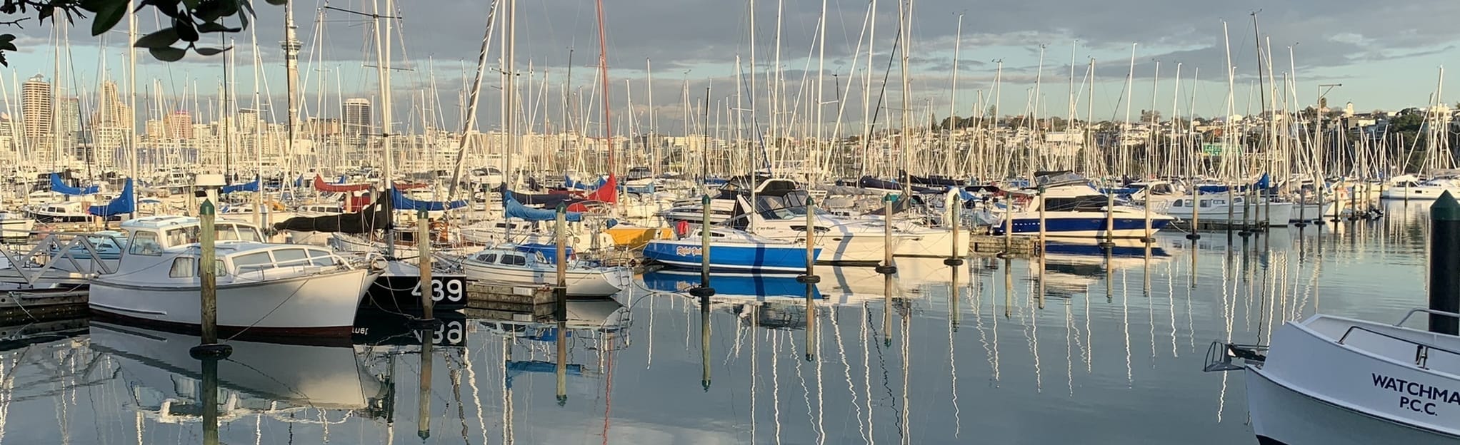 Westhaven Promenade, Auckland, New Zealand - 65 Reviews, Map | AllTrails