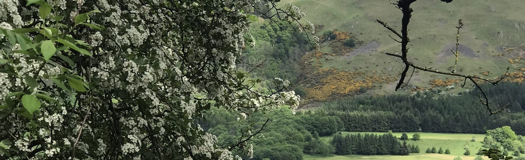 Tullibody and Devonside, Clackmannanshire, Scotland - 14 Reviews, Map ...