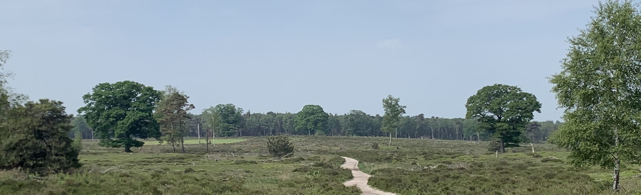 Sprengenberg Green Trail, Overijssel, Netherlands - 33 Reviews, Map ...