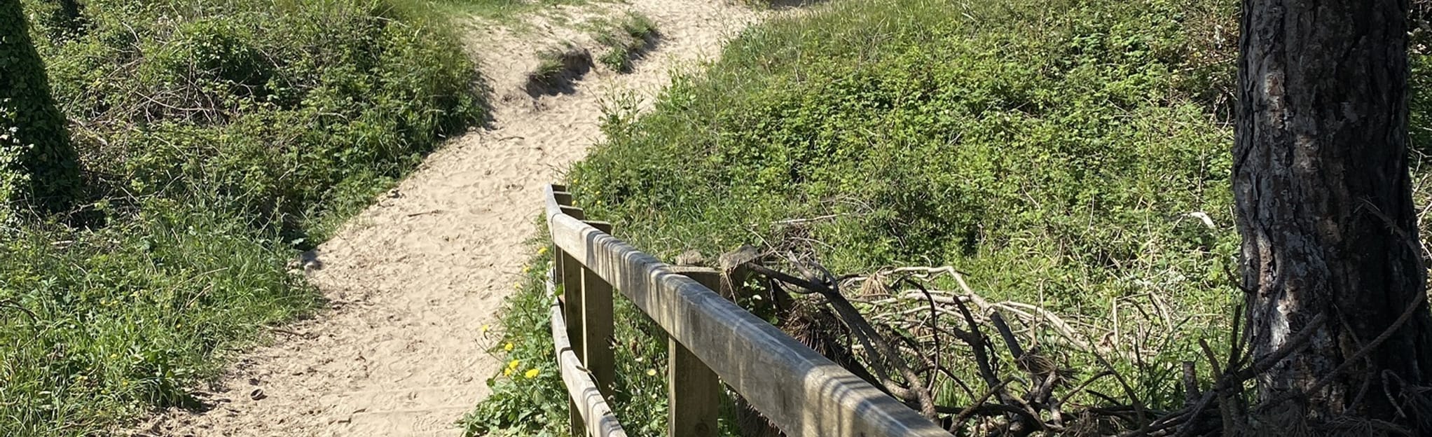 Pembrey Country Park Circular: 30 Reviews, Map - Carmarthenshire, Wales ...