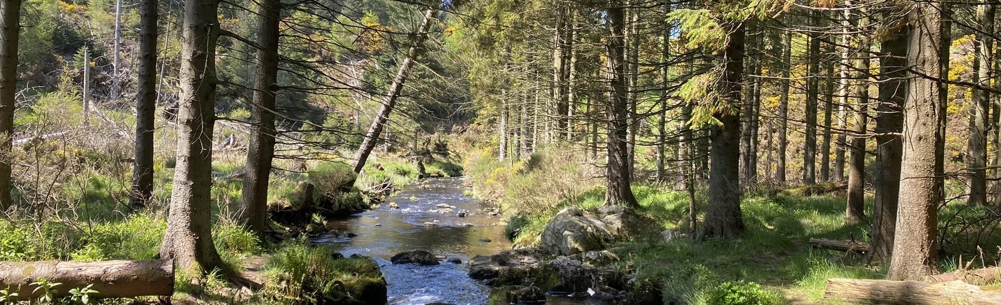 Crynoch Burn Circular, Aberdeen, Scotland - 244 Reviews, Map | AllTrails