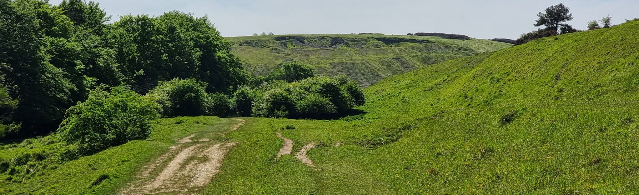 Cleeve Hill Circular Walk: 203 Reviews, Map - Gloucestershire, England ...