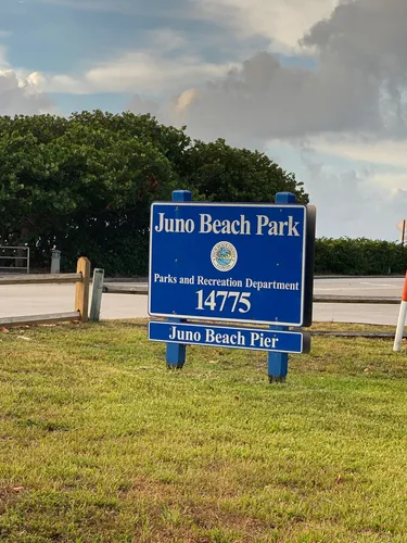 Best Hikes and Trails in Juno Beach Park | AllTrails