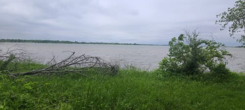 Best Trails in Two Rivers State Recreation Area | AllTrails