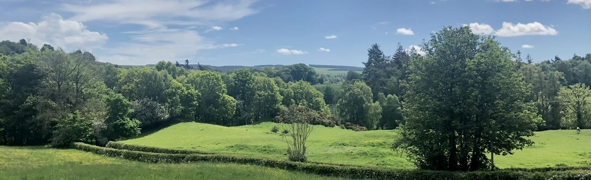 Stocksfield and Shilford Wood Circular, Northumberland, England - 77 ...