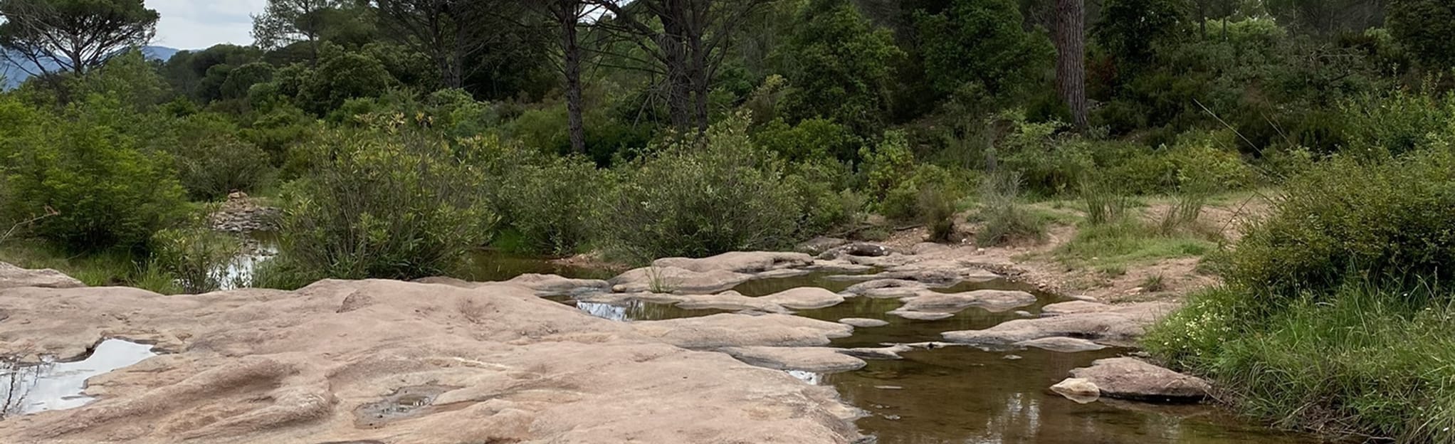 La Bouverie - Collet Redon: 9 Reviews, Map - Var, France | AllTrails