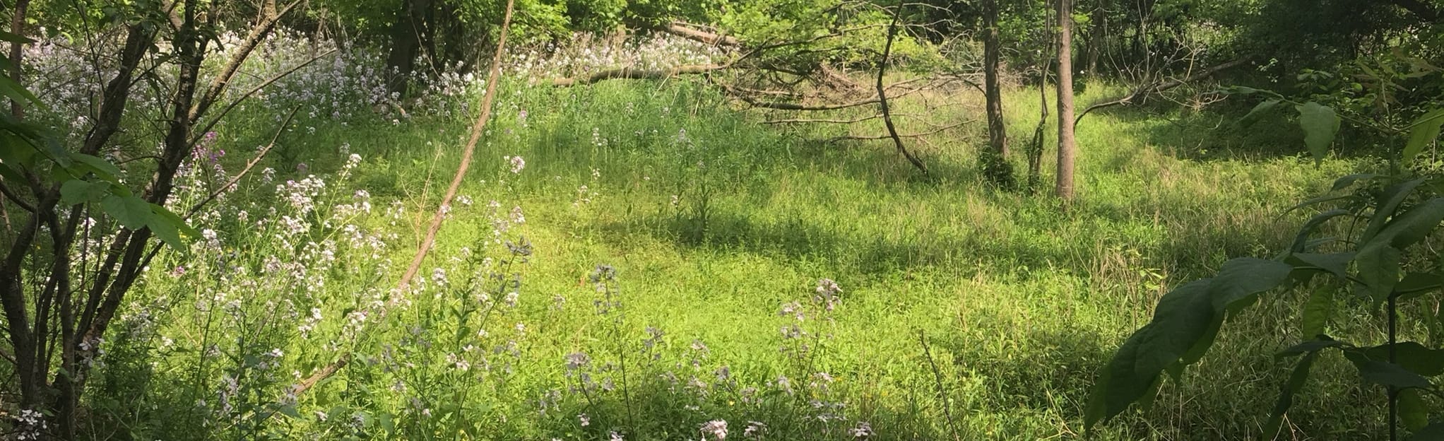 Mackay Wildlife Preserve Nature Trail, New York - 22 Reviews, Map ...