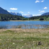 Middle Lake Trail, Alberta, Canada - 206 Reviews, Map | AllTrails