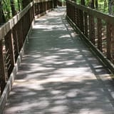 Upper Spring Loop Trail, Alabama - 119 Reviews, Map | AllTrails