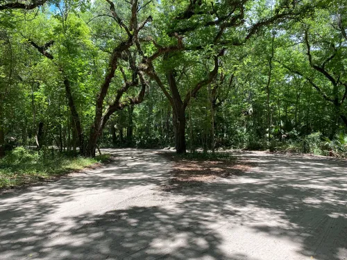 Best Hikes and Trails in Shell Bluff Park | AllTrails