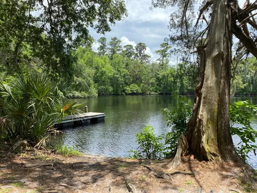 Best Hikes and Trails in Shell Bluff Park | AllTrails