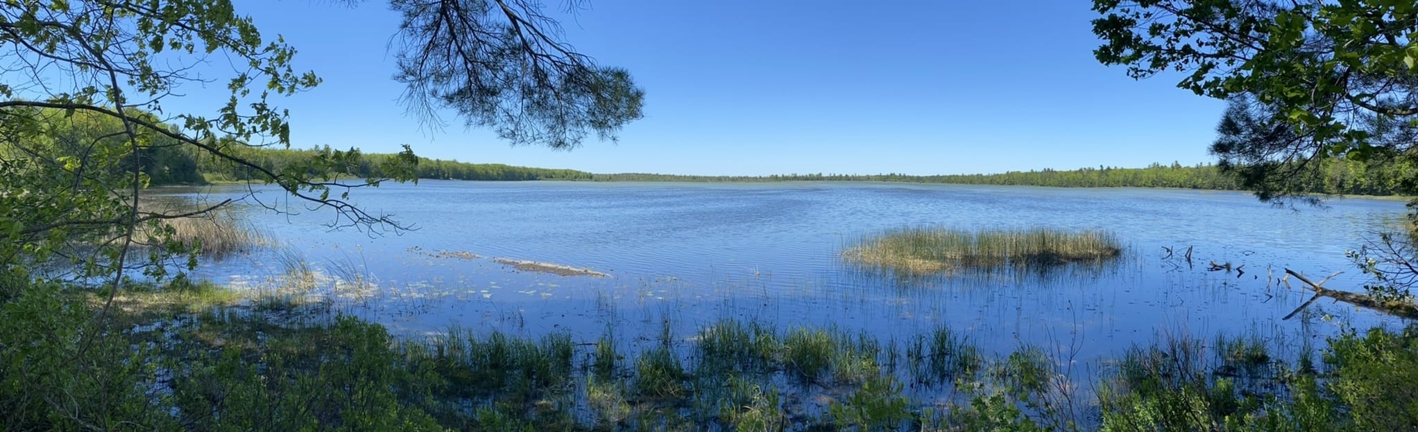 Marl Lake Trail Loop | Map, Guide - Michigan | AllTrails