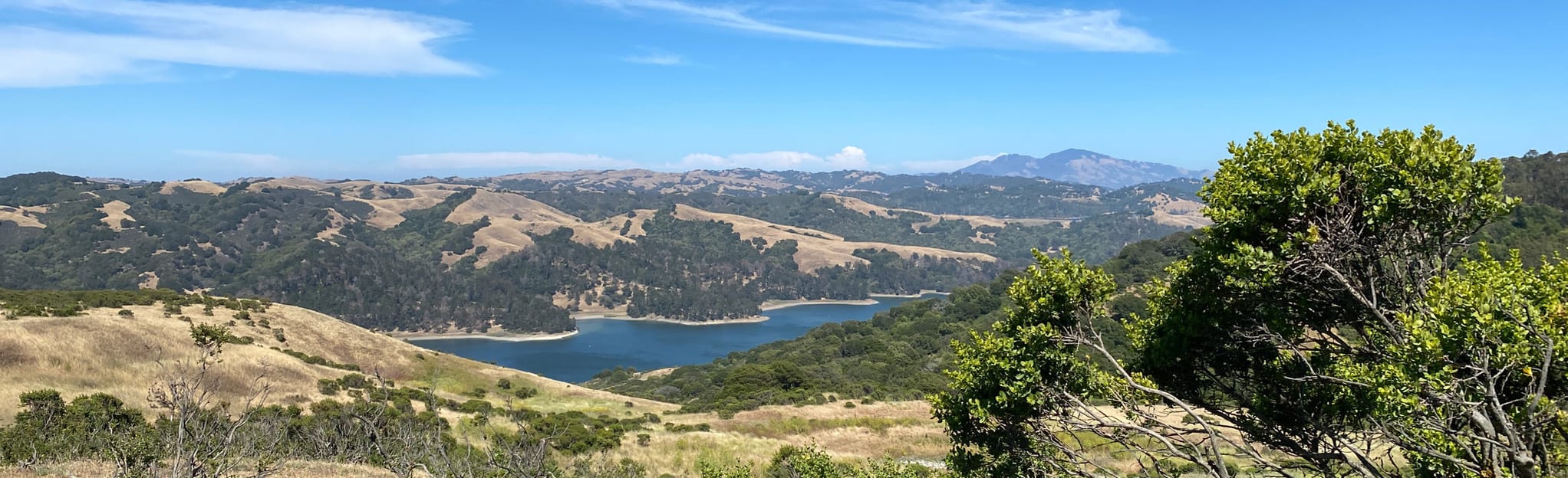 Wildcat Creek Loop Trail, California - 547 Reviews, Map | AllTrails