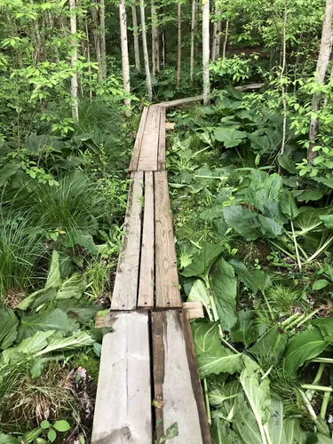 Best Hikes and Trails in Ian Clark Preserve | AllTrails