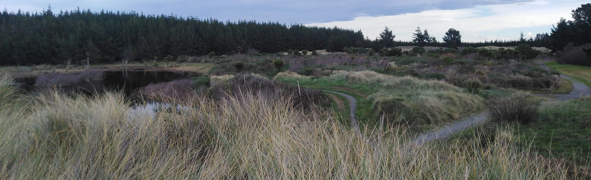 Southern Pegasus Bay Track, Canterbury, New Zealand - 38 Reviews, Map ...