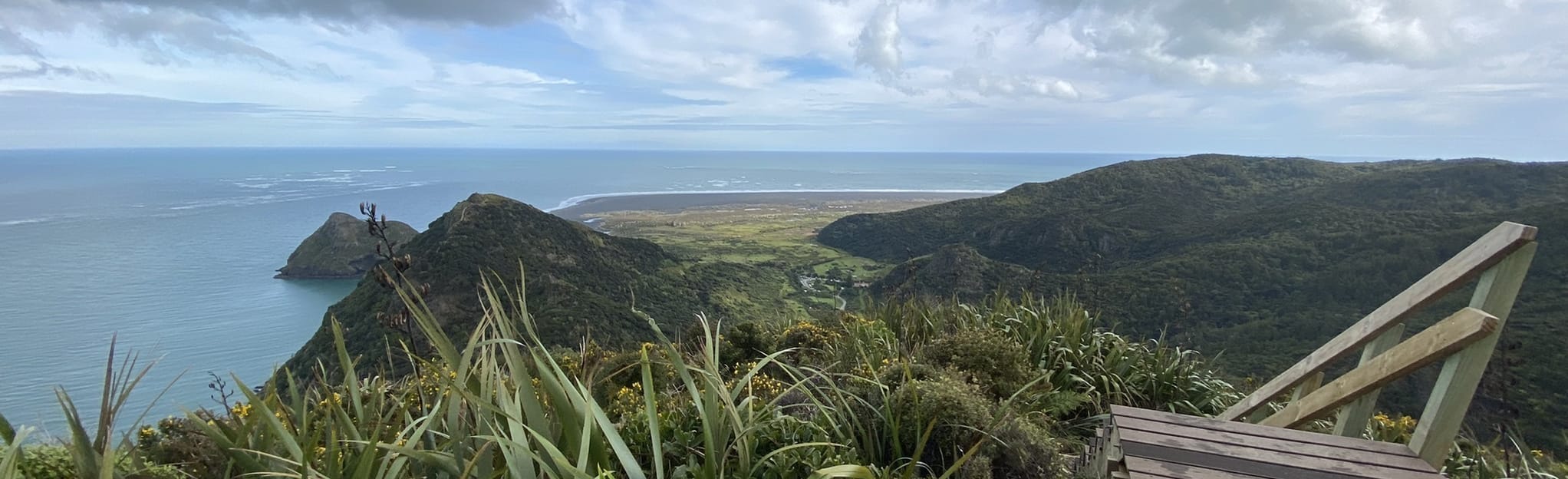 Karamatura Track, Puriri Ridge, and Omanawanui Track [CHIUSO]: 946 foto ...