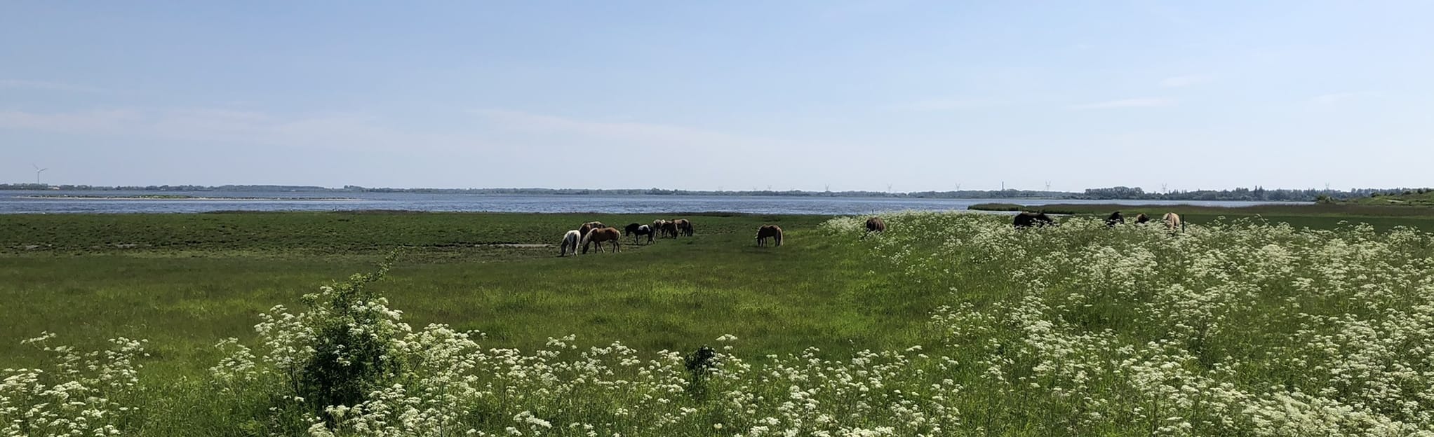 Søpavillonen, Stige Ø, Sortehuse og Østre Kanalvej: 19 Reviews, Map ...