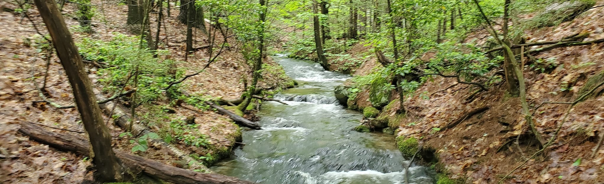 Flat Rock Trail: 138 Reviews, Map - Massachusetts | AllTrails