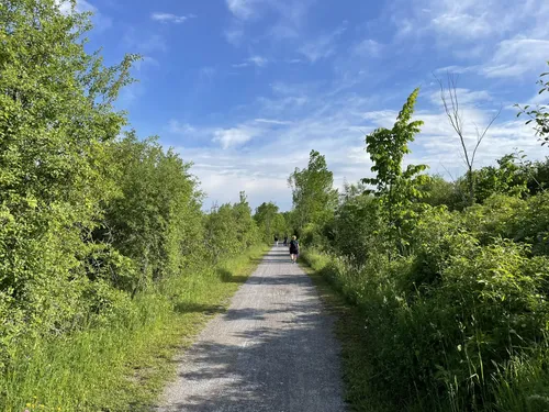 10 Best Trails and Hikes in Peterborough | AllTrails