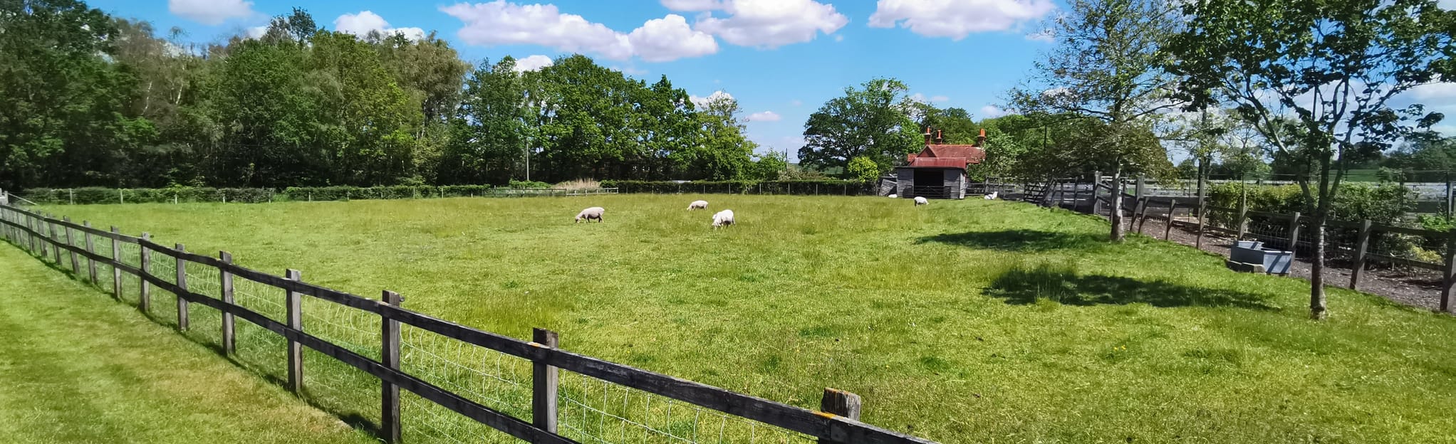 Odiham and Dogmersfield Park Circular: 22 Reviews, Map - Hampshire ...