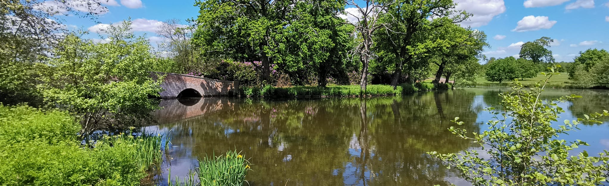 Basingstoke Canal, Dogmersfield Park, and Tundry Pond Circular: 312 ...
